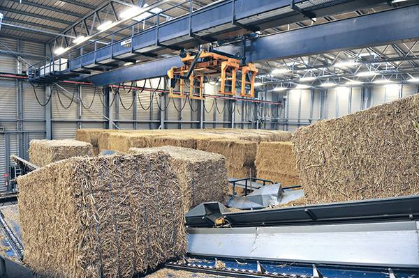 Malaysia to become biomass processing hub – The Gulf Time Newspaper
