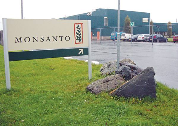 Monsanto to seal deal with Argentina over GMO soybean tests – The Gulf ...