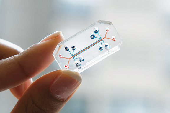 Nevada lawmaker seeks precautionary ban on human microchips – The Gulf ...