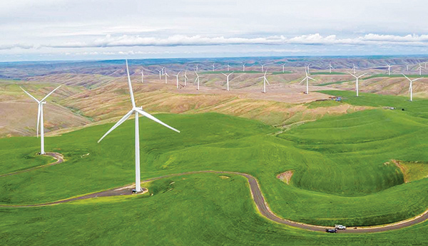 Peek into wooden mast reveals wind powerâ€™s towering future – The Gulf ...