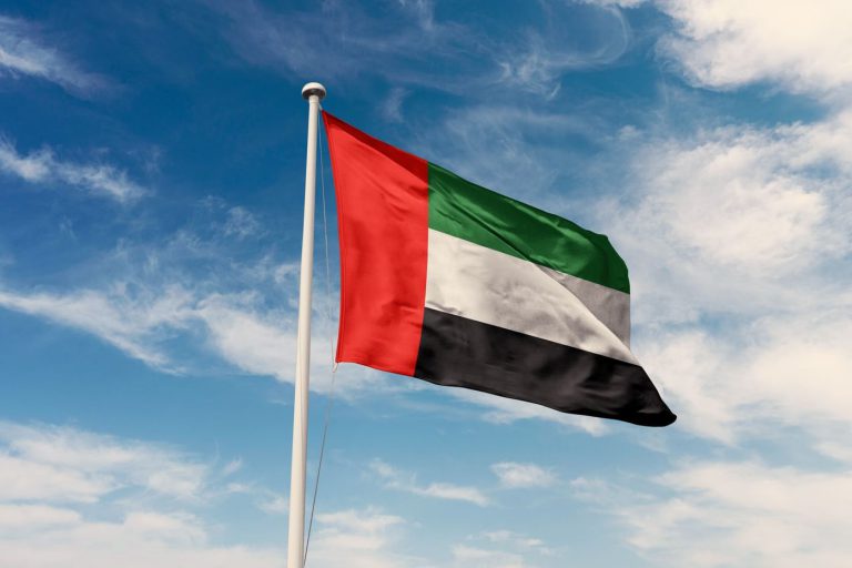 UAE among top Arab destinations for energy investment in 2025: Dhaman ...